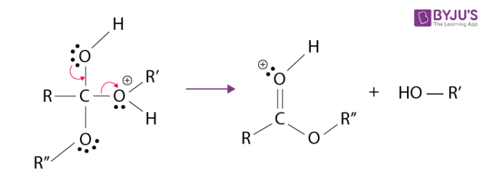 Transesterification - Process, Reaction Mechanism, Applications