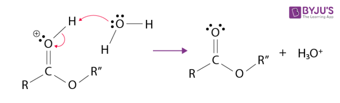 Transesterification - Process, Reaction Mechanism, Applications