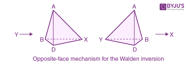 Walden Inversion - Definition, Reaction, Mechanism & Explanation with ...
