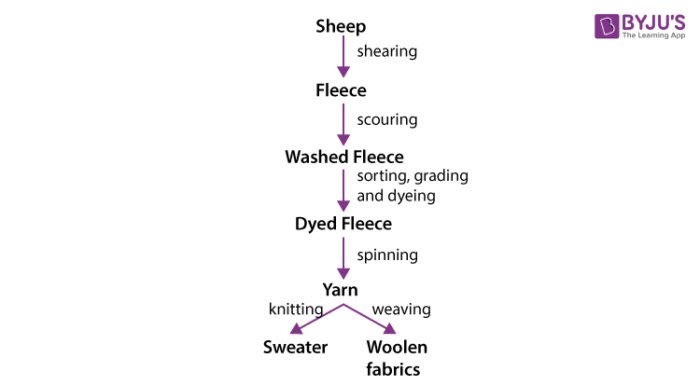 Wool Fibre - Definition, Properties, Extraction from Animals with Videos