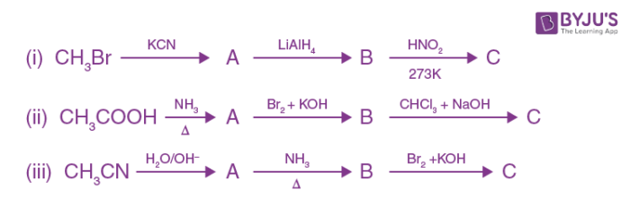 Class 12 Chemistry Worksheet on Chapter 13 Amines - Set 3
