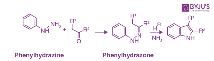 ‌Fischer Indole Synthesis - Definition, Reaction, Mechanism & Drawbacks ...