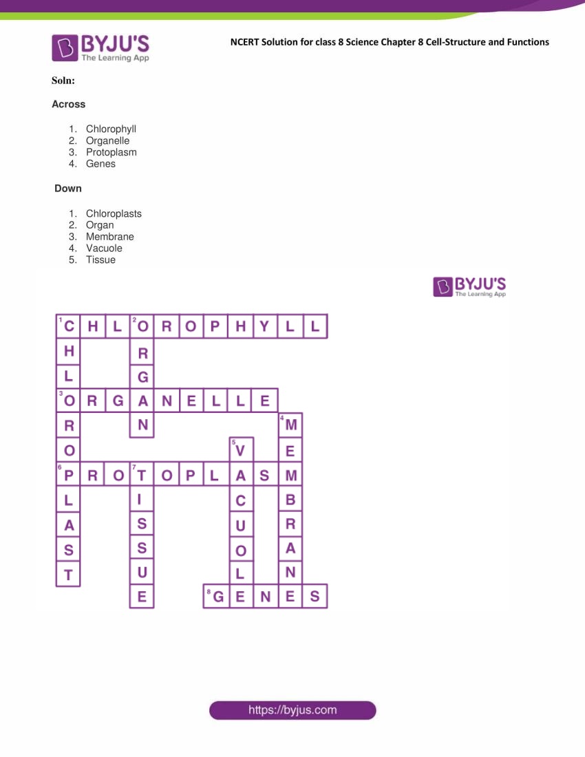 NCERT Solutions for Class 8 Science Chapter 8 Cell Structure and Functions