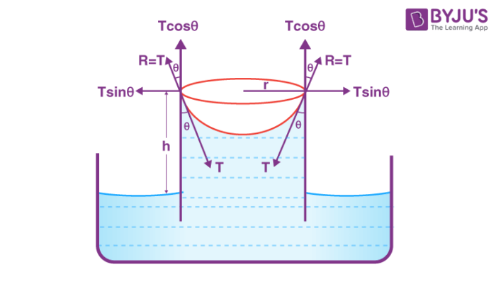 Surface Tension Questions - Practice Questions of Surface Tension with ...