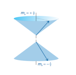 Spin Quantum Number - Definition, Determination with Key Points & Examples