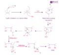 Woodward Reaction - Definition, Reaction Mechanism & Examples