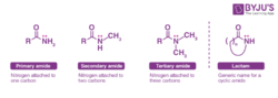 Amido and Amide - What is an Amide and Amido, Synthesis of Amides ...