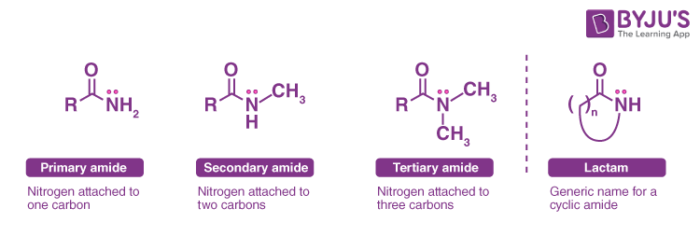 Amido and Amide - What is an Amide and Amido, Synthesis of Amides ...