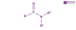 Amido and Amide - What is an Amide and Amido, Synthesis of Amides ...