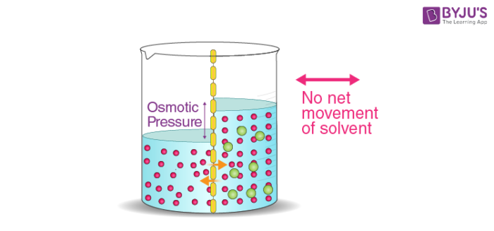 Diffusion and Osmosis Questions - Practice Questions of Diffusion and ...