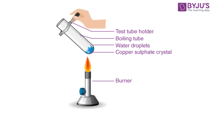Class 9 Chemistry Practical's and Experiments on The reaction of ...