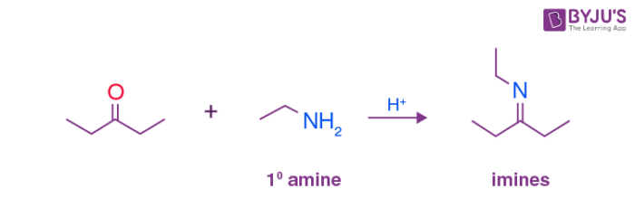 Imine Formation: Introduction, Nomenclature, Applications and Imine ...
