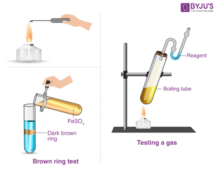 Systematic Analysis of Anions - Chemistry Practicals Class 12