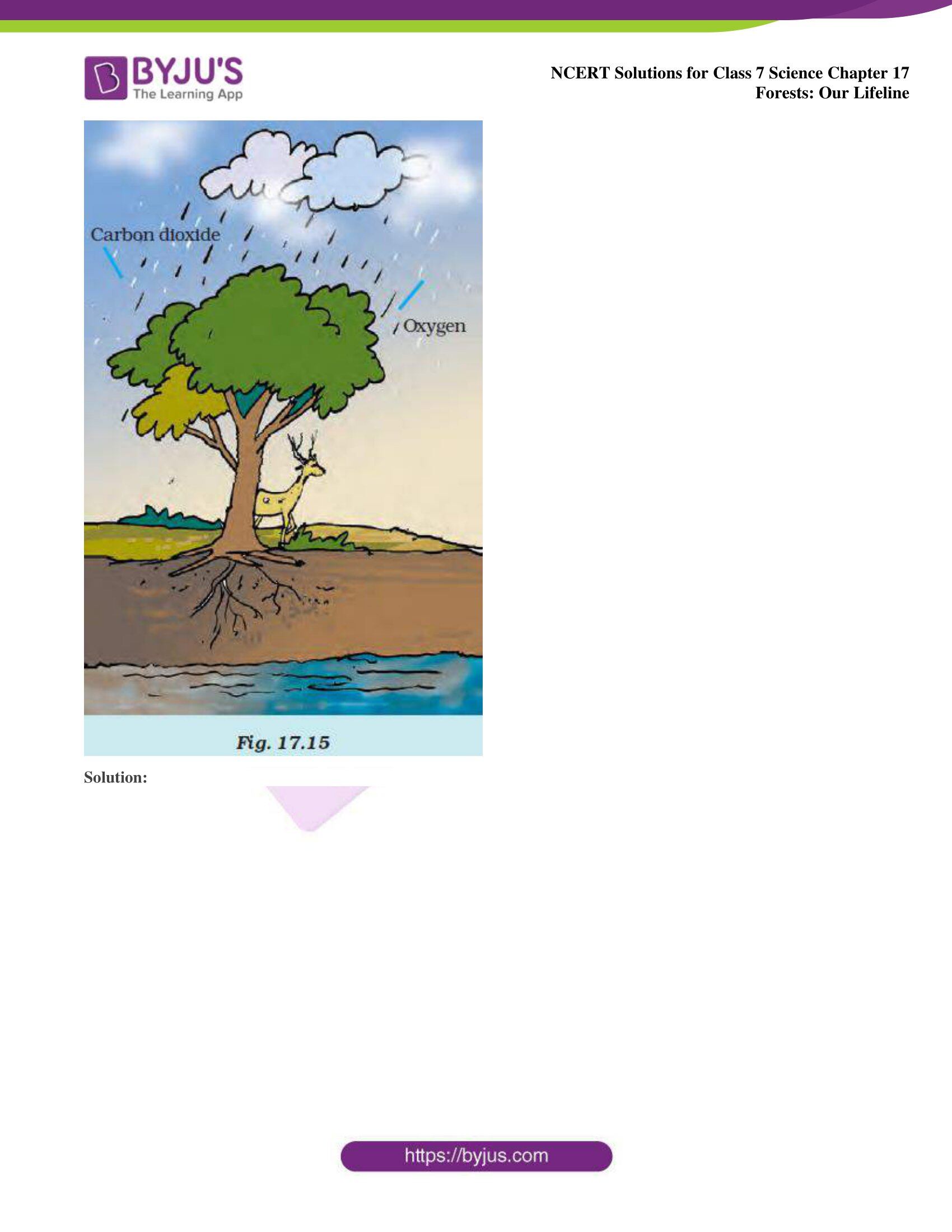 NCERT Solutions Class 7 Science Chapter 17 Forests Our Lifeline Get NCERT Solutions Class 7 Science Chapter 17 Forests Our Lifeline Get