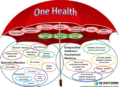 One Health Concept Explained [UPSC GS 2 Notes]
