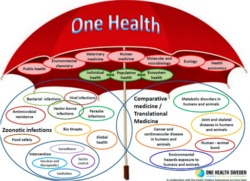 One Health Concept Explained [UPSC GS 2 Notes]