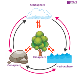 What is Biosphere? - Definition, Resources with Examples & Images