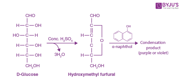 Tests of Carbohydrates - Chemistry Practicals Class 12