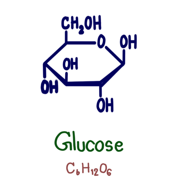 How Does Glucose Give You Energy 